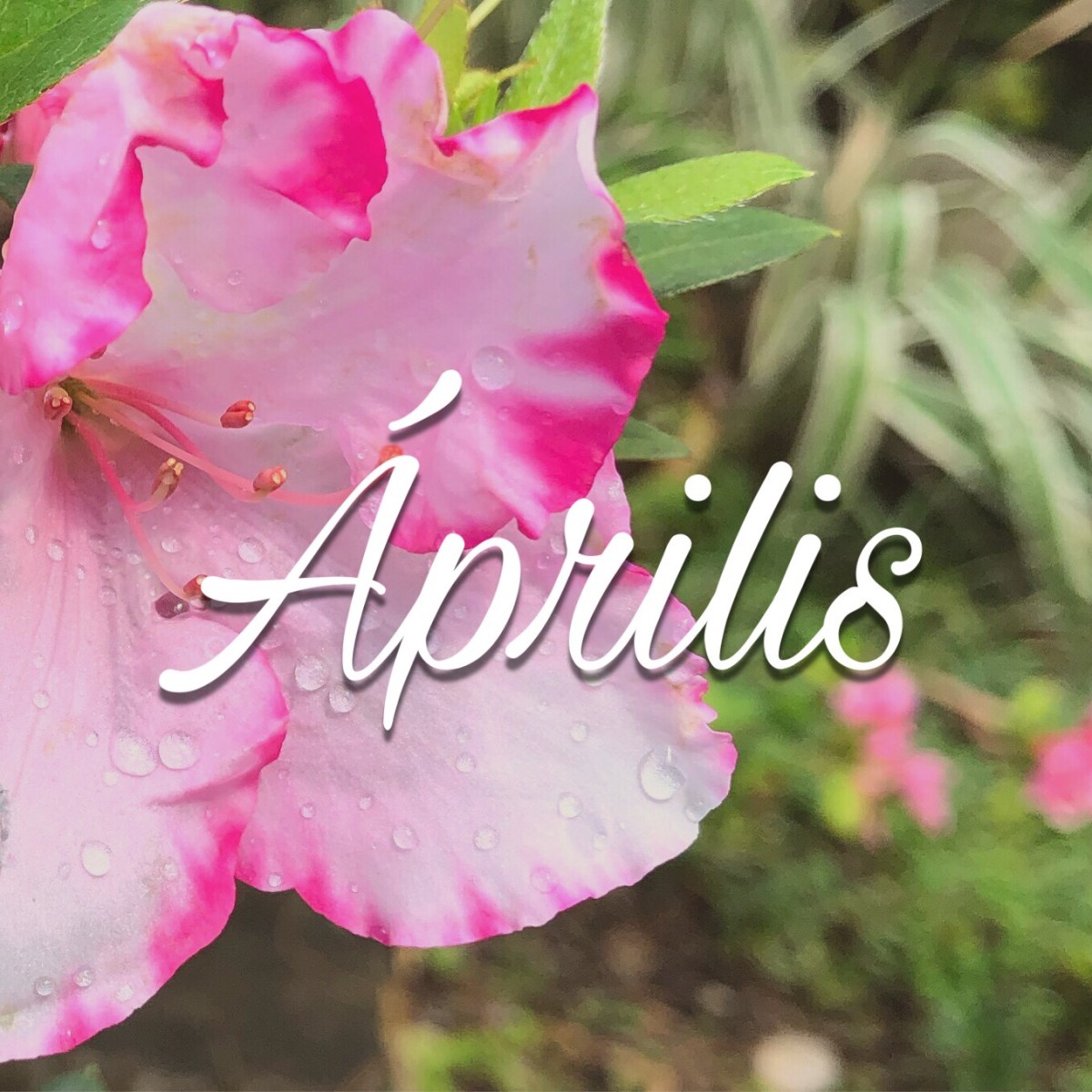 Április – Anya játsszunk!